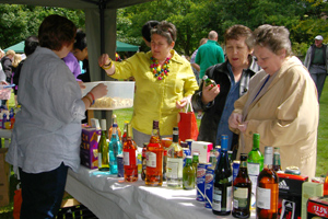 North Aston Village Fête 2012